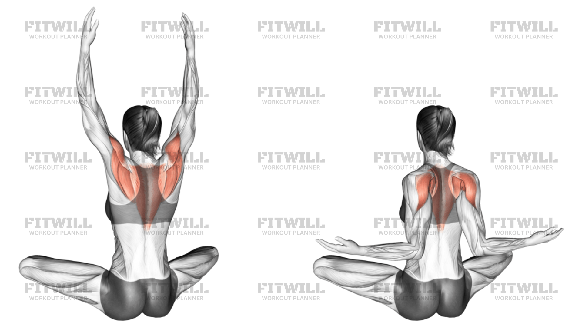 Seated Back Squeeze: Exercise Guide, Video, Techniques, Benefits, How ...