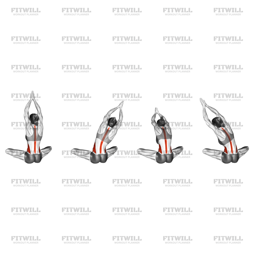 Seated Upper Body Rotation: Exercise Guide, Video, Techniques, Benefits ...