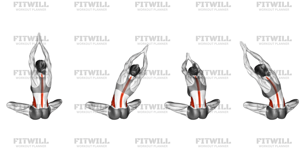 Seated Upper Body Rotation: Exercise Guide, Video, Techniques, Benefits ...