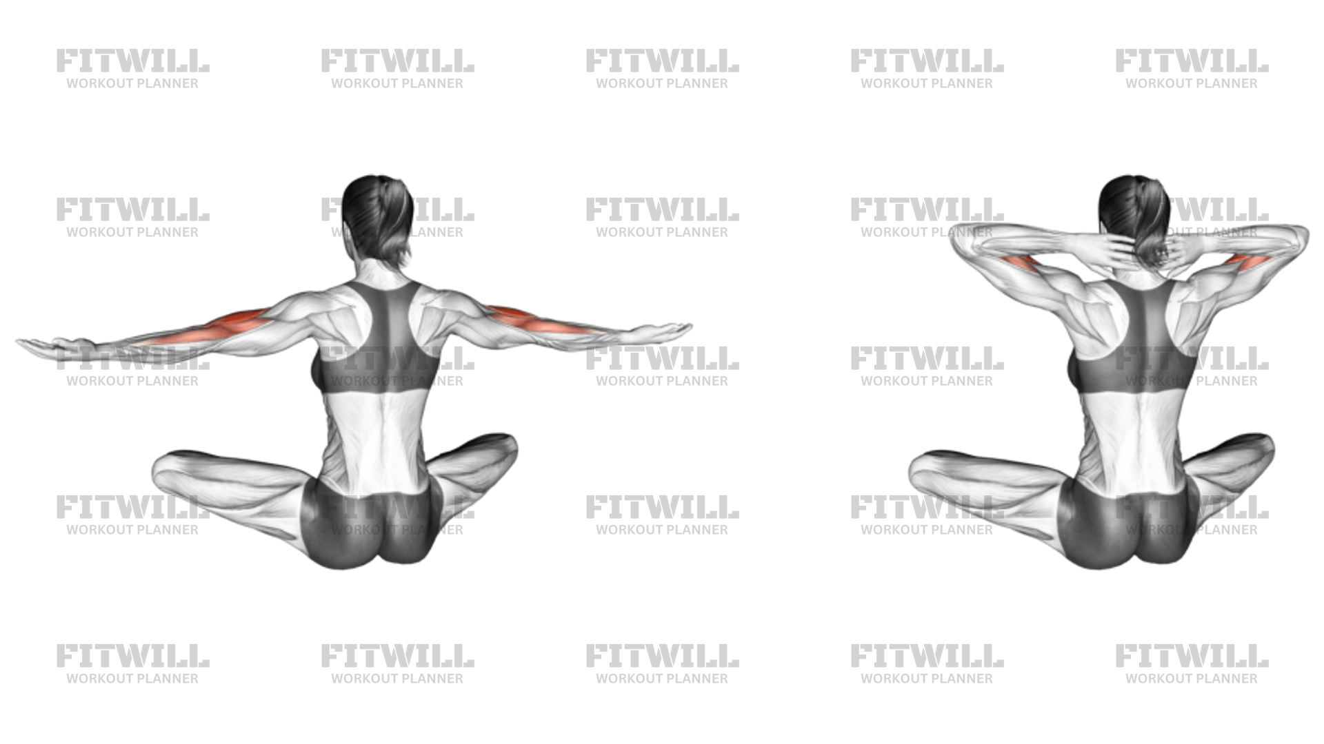 Seated Neck Tap: Exercise Guide, Video, Techniques, Benefits, How to ...