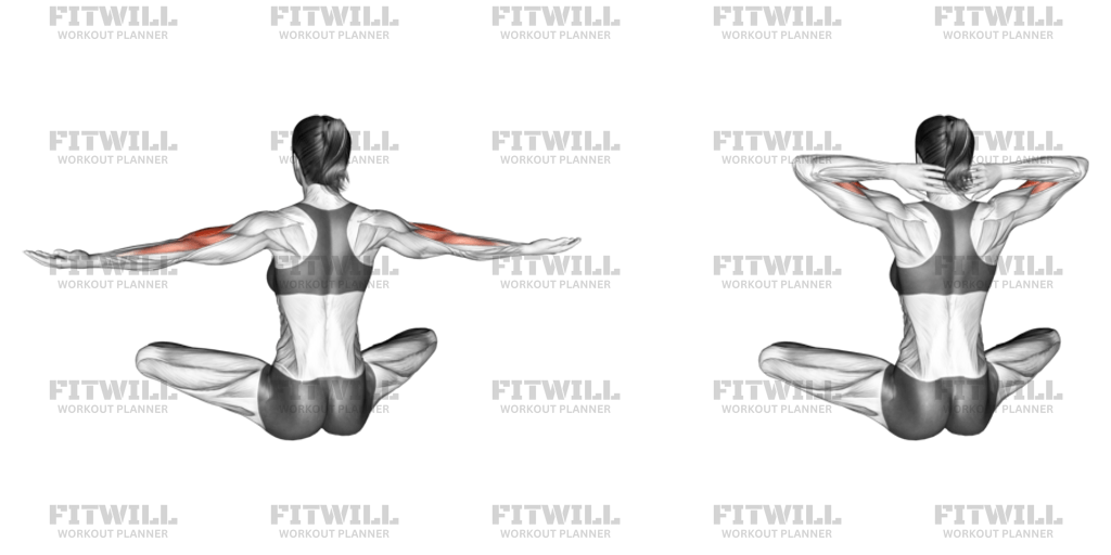 Seated Neck Tap: Exercise Guide, Video, Techniques, Benefits, How to ...