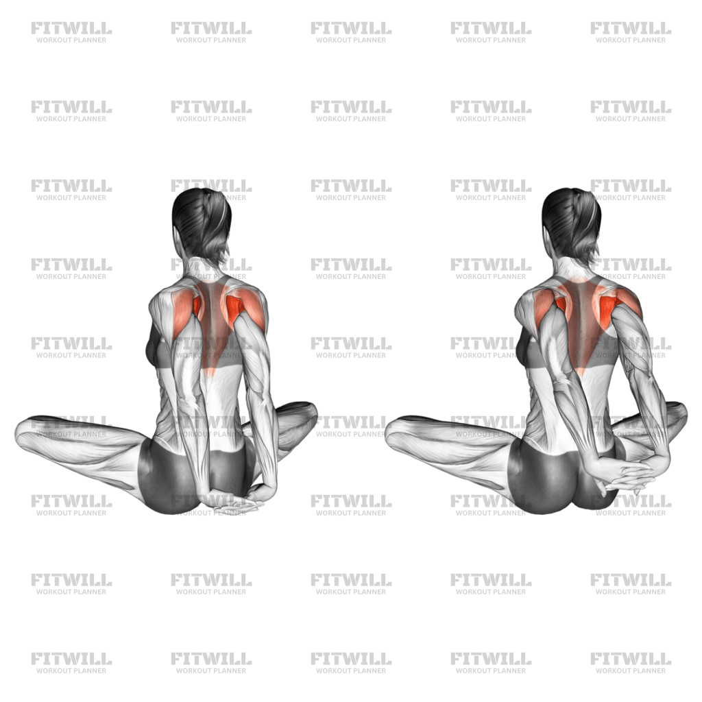 Seated Behind Back Raise: Exercise Guide, Video, Techniques, Benefits ...