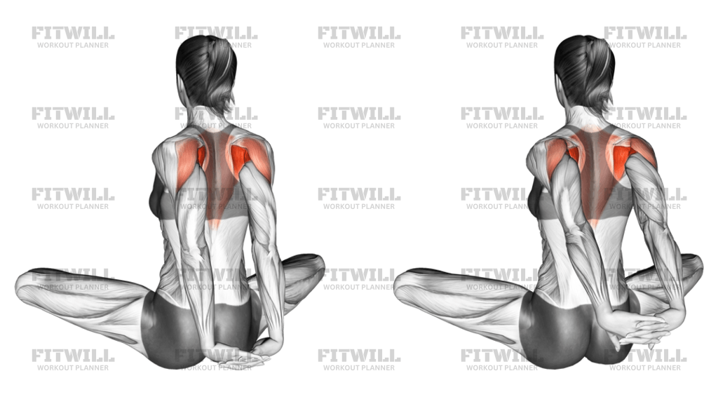 Seated Behind Back Raise: Exercise Guide, Video, Techniques, Benefits ...