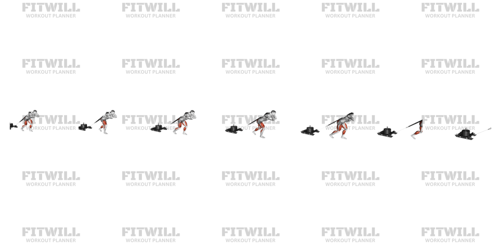 Power Sled Drag: Exercise Guide, Video, Techniques, Benefits, How to ...