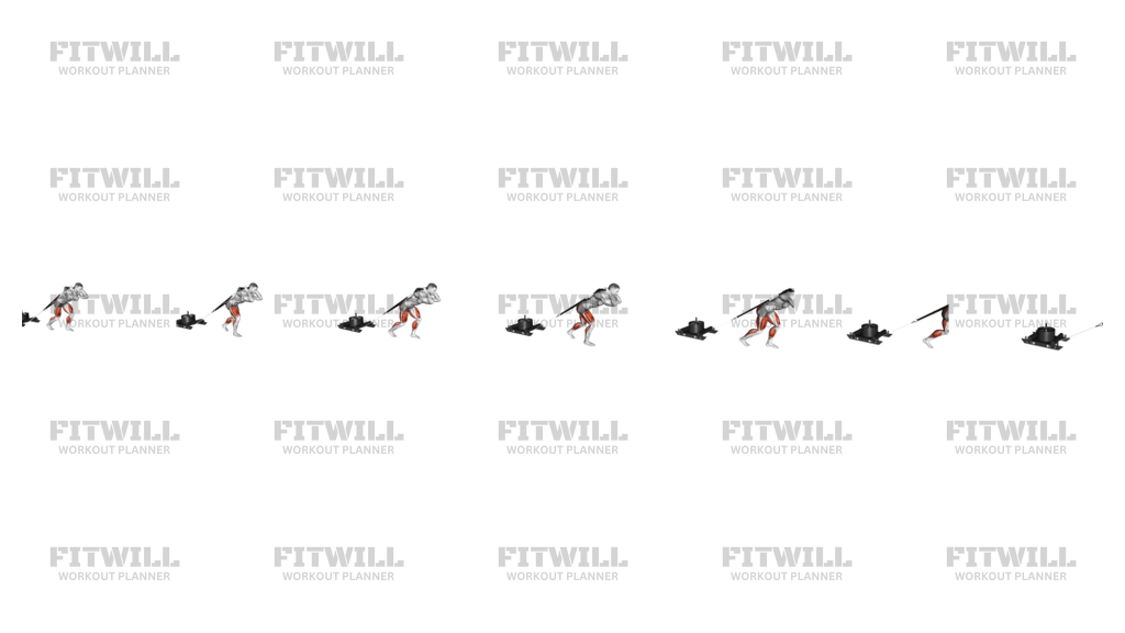 Power Sled Drag: Exercise Guide, Video, Techniques, Benefits, How to ...