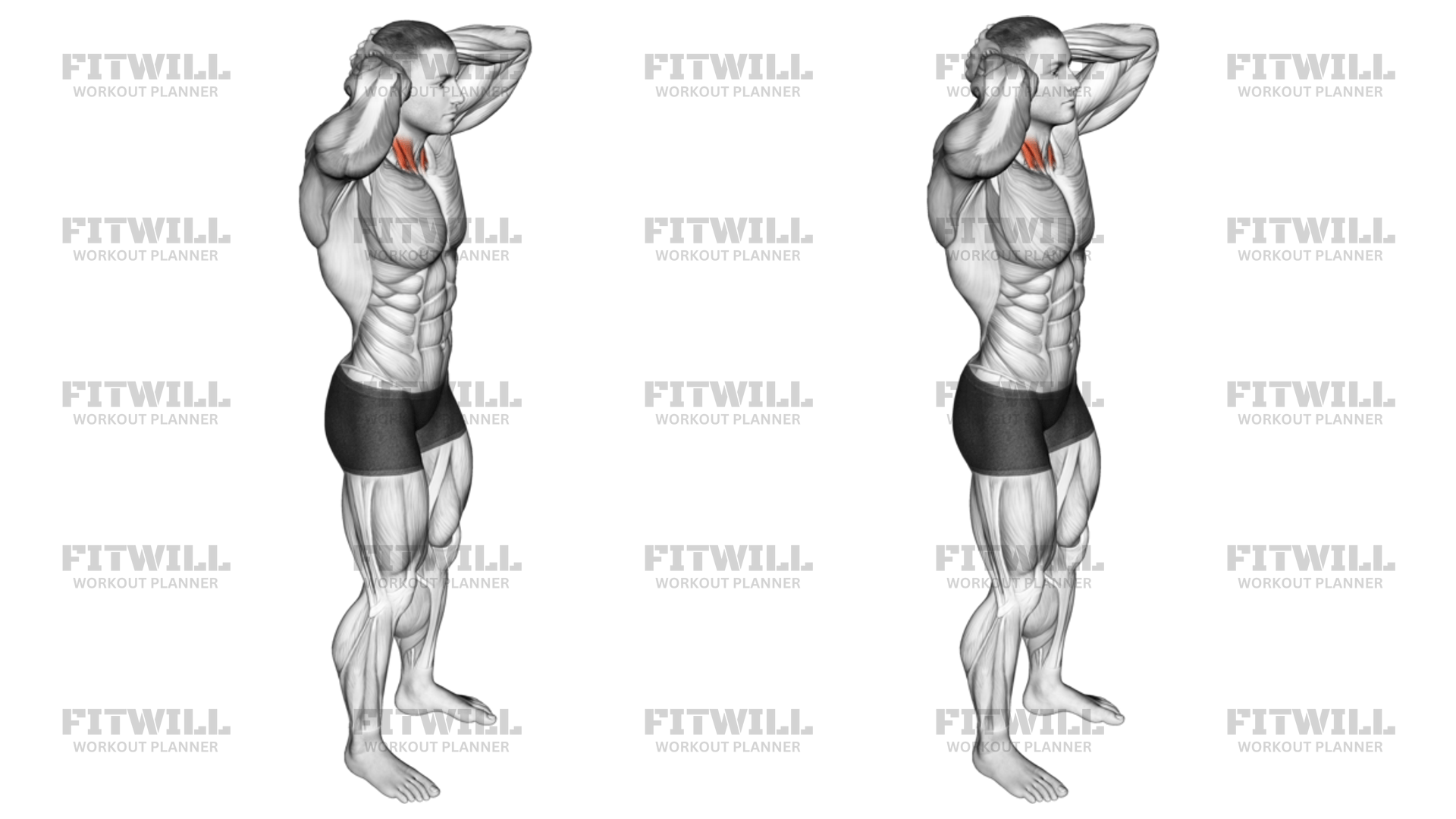 Posterior Neck Isometric: Exercise Guide, Video, Techniques, Benefits ...