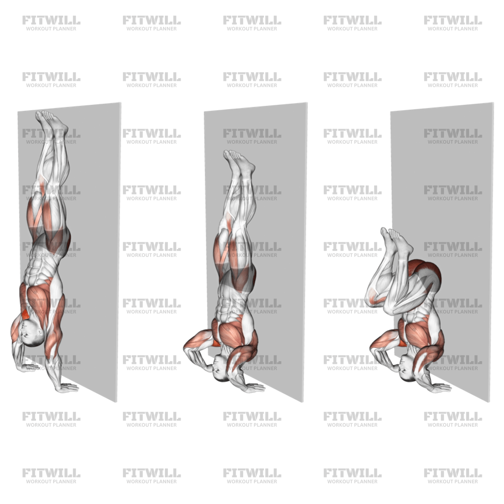 Kipping Handstand Push-up: Exercise Guide, Video, Techniques, Benefits, How to, Muscles Worked ...