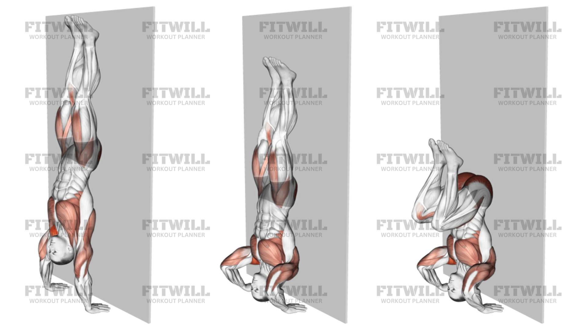 Kipping Handstand Push-up: Exercise Guide, Video, Techniques, Benefits ...