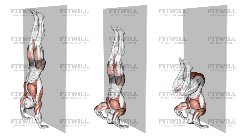 Kipping Handstand Push-up: Exercise Guide, Video, Techniques, Benefits, How to, Muscles Worked ...