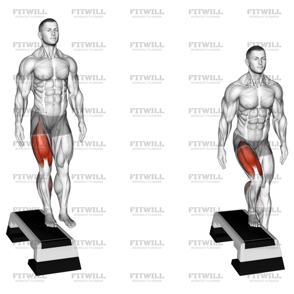 Lateral Step-up: Exercise Guide, Video, Techniques, Benefits, How to, Muscles Worked, Tips ...