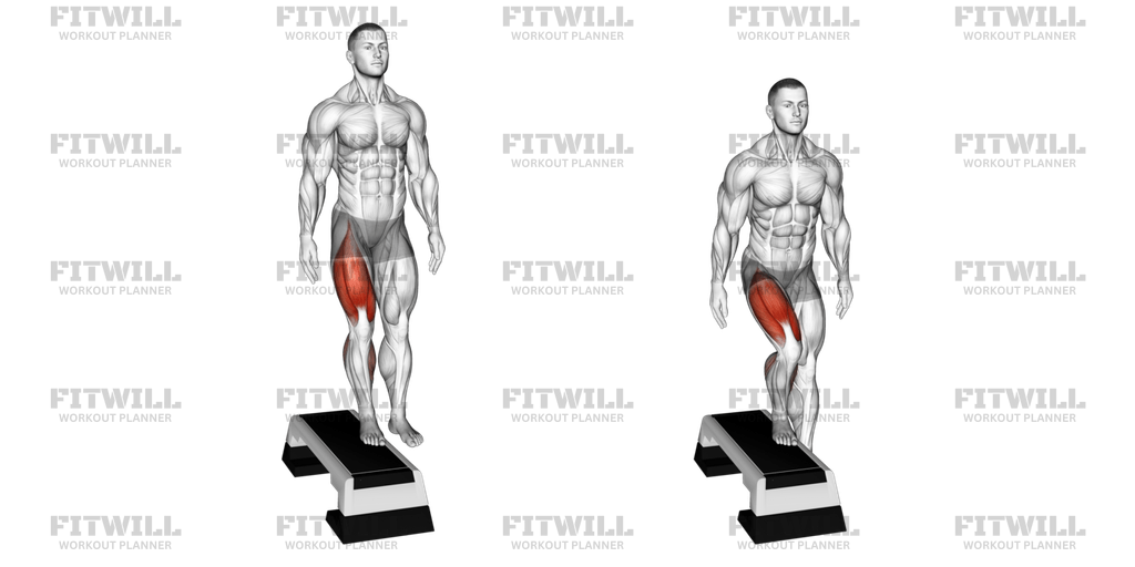 Lateral Step-up: Exercise Guide, Video, Techniques, Benefits, How to ...