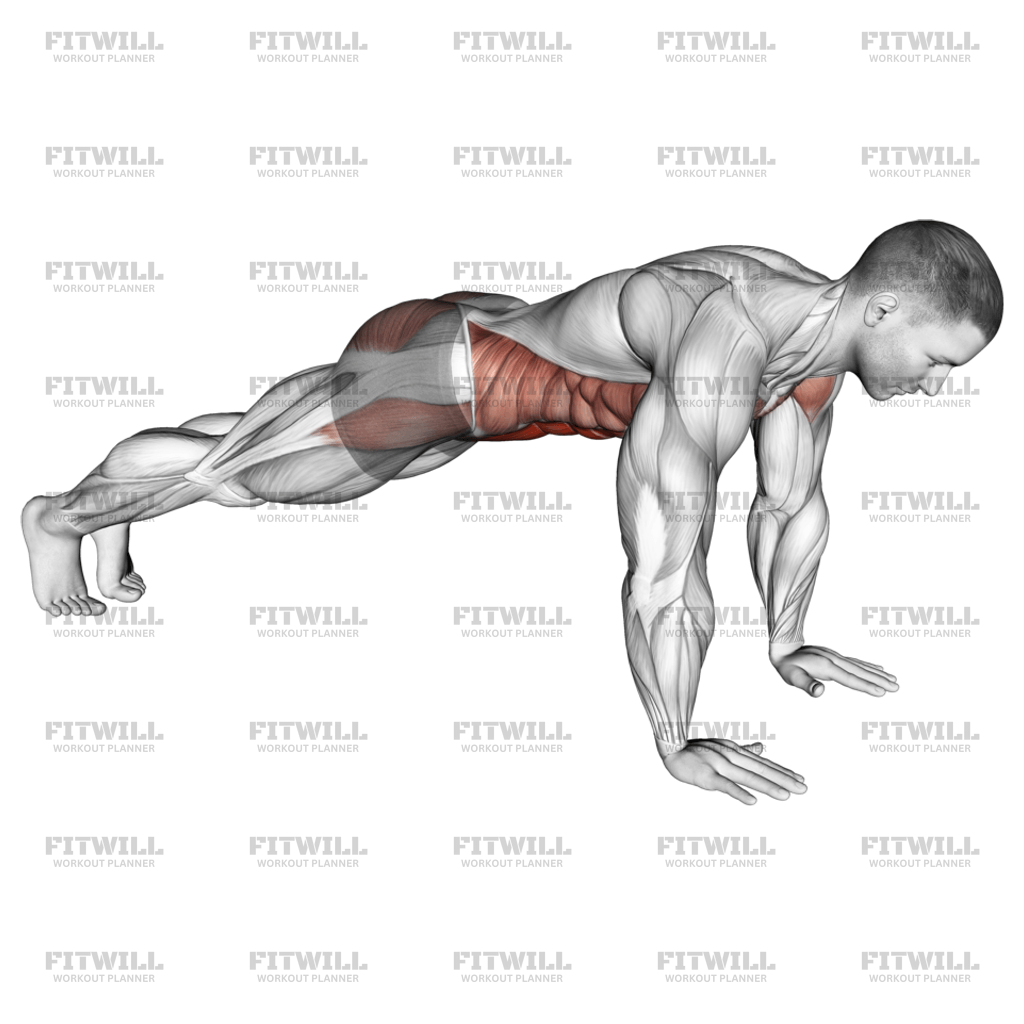 Plank On Hands: Exercise Guide, Video, Techniques, Benefits, How to ...