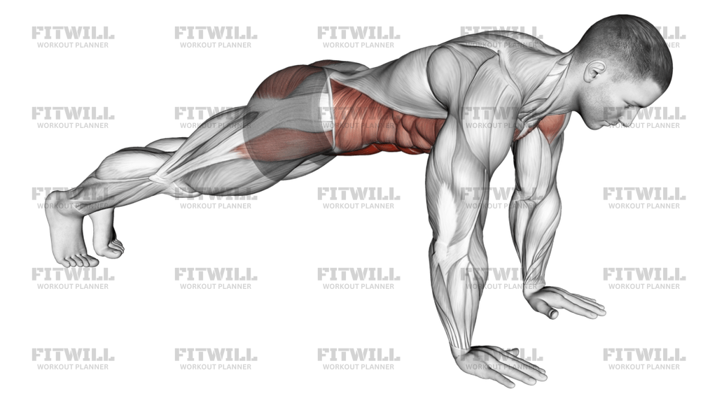 Plank On Hands: Exercise Guide, Video, Techniques, Benefits, How to ...