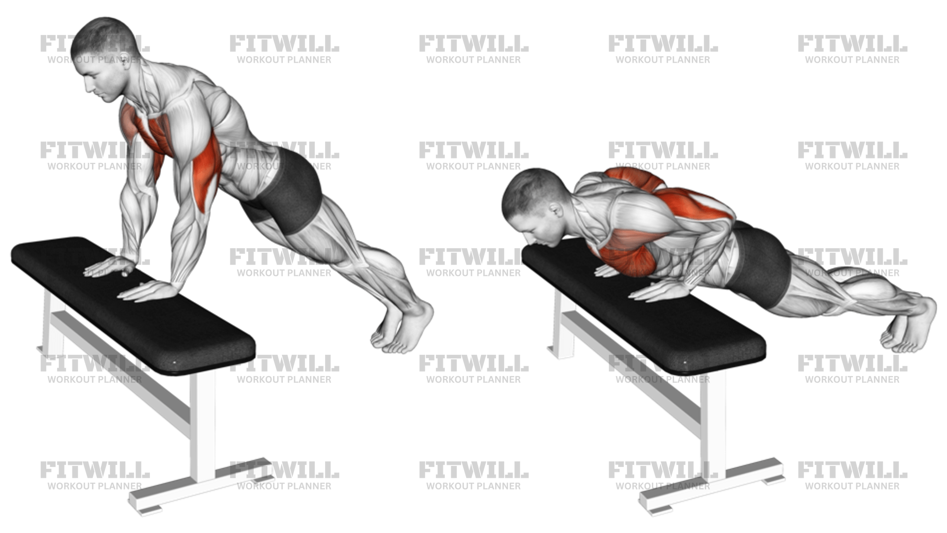 Flexión En Inclinación Con Agarre Cerrado: Guía de Ejercicios, Video ...