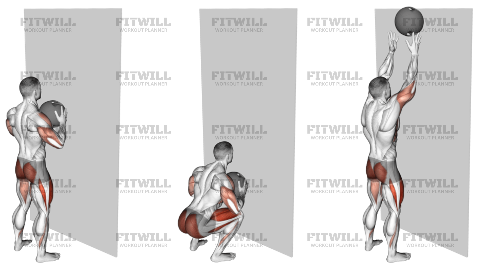 Medicine Ball Throw Squat With Wall: Exercise Guide, Video, Techniques ...