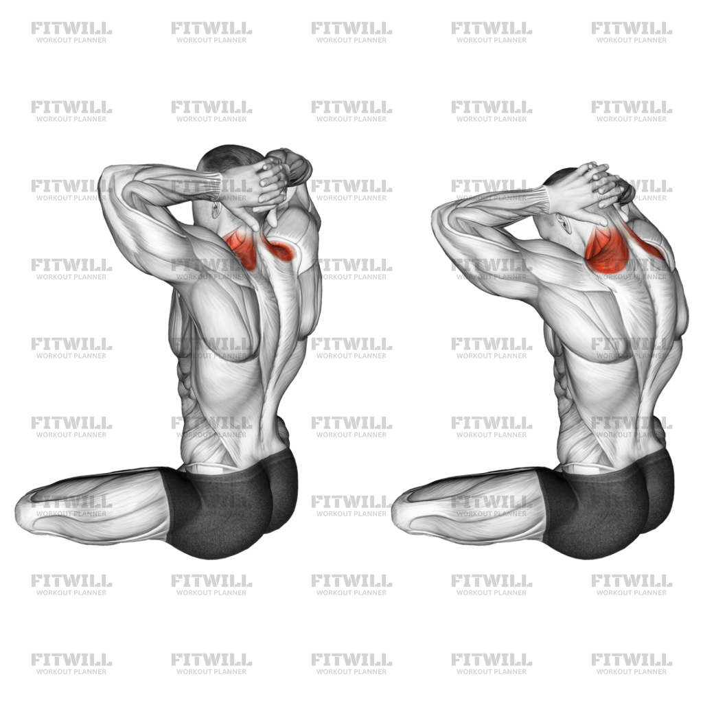 Seated Neck Stretch: Exercise Guide, Video, Techniques, Benefits, How to, Muscles Worked, Tips ...