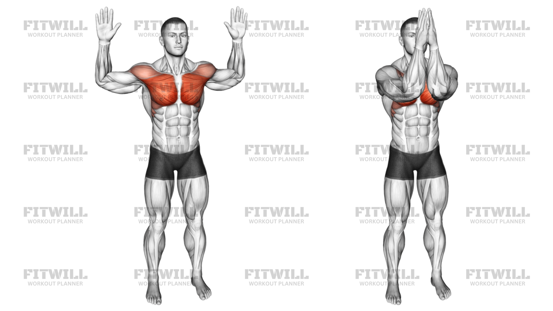 Bodyweight Standing Fly: Exercise Guide, Video, Techniques, Benefits ...