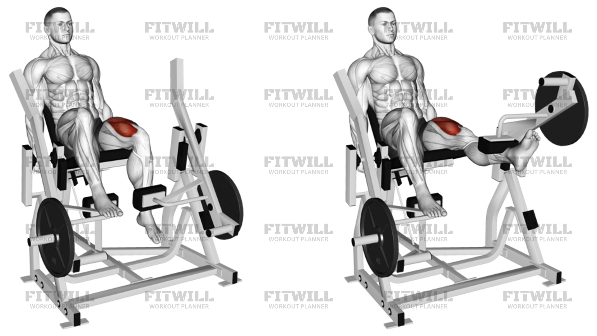 Lever Single Leg Extension (plate Loaded): Exercise Guide, Video ...
