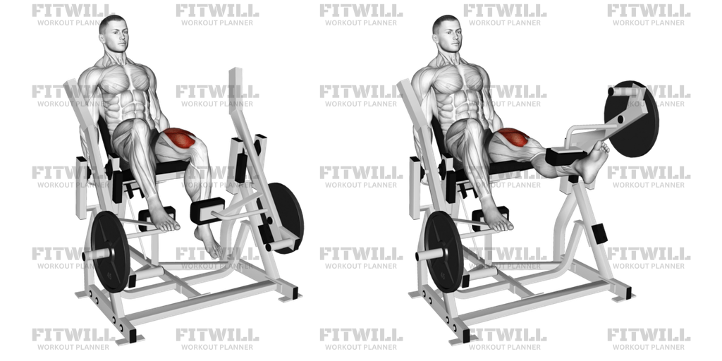 Lever Single Leg Extension (plate Loaded): Exercise Guide, Video ...
