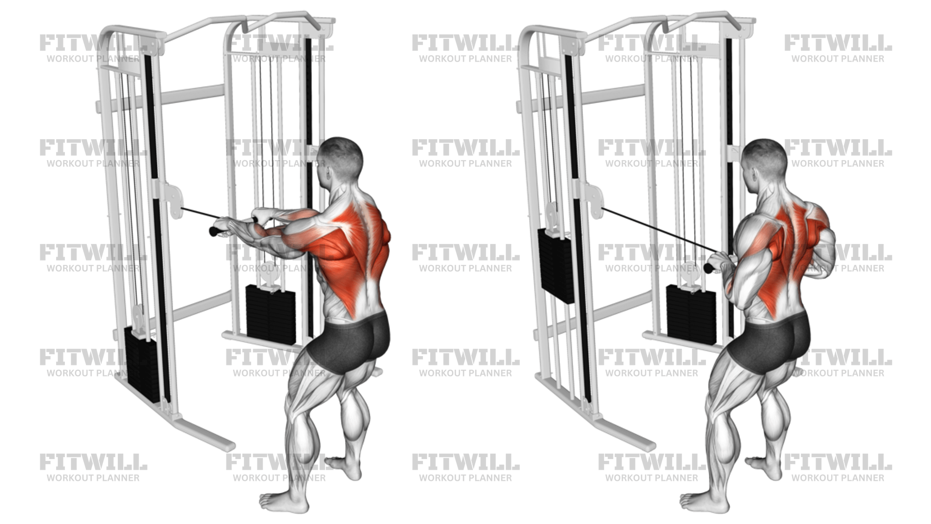 Cable Standing Close Grip Row Exercise Guide Video Techniques Benefits How To Muscles
