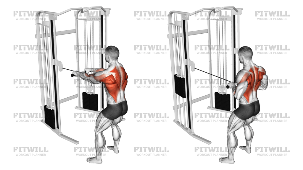Cable Standing Close Grip Row: Exercise Guide, Video, Techniques ...