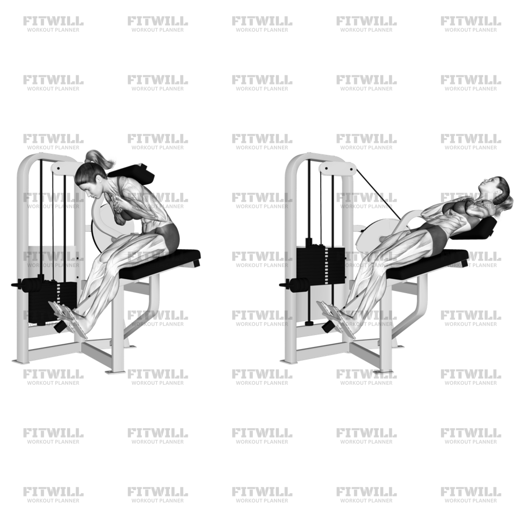 Lever Back Extension (version 2): Exercise Guide, Video, Techniques ...