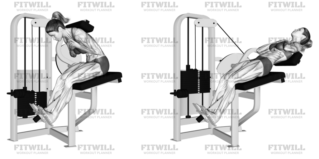 Extensión De Espalda Con Palanca (versión 2): Guía de Ejercicios, Video ...