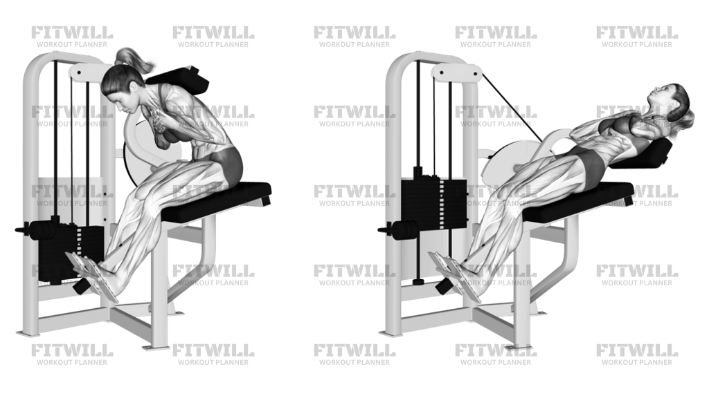 Lever Back Extension (version 2): Exercise Guide, Video, Techniques ...