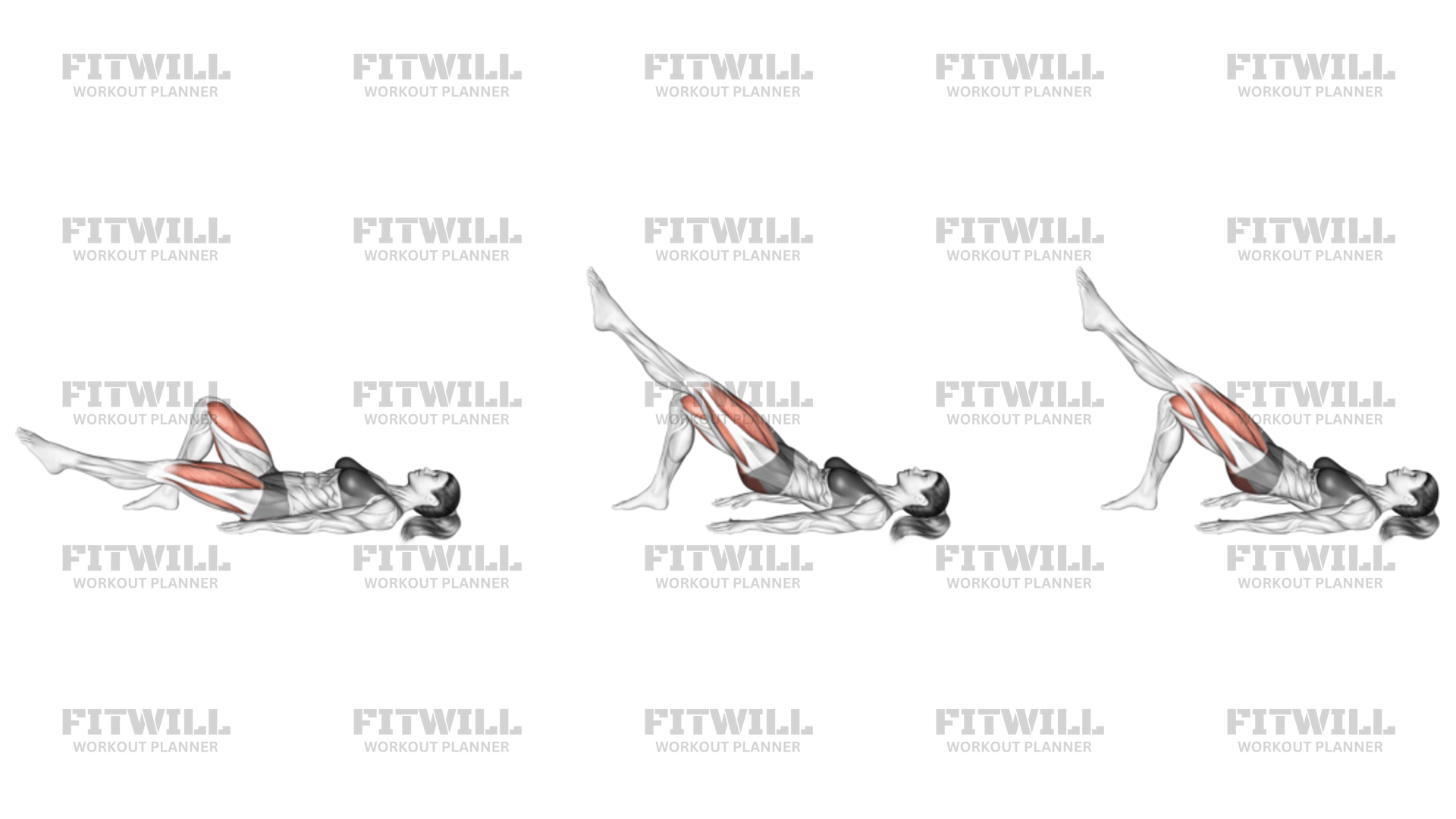 Single Straight Leg Glute Bridge Hold: Exercise Guide, Video ...