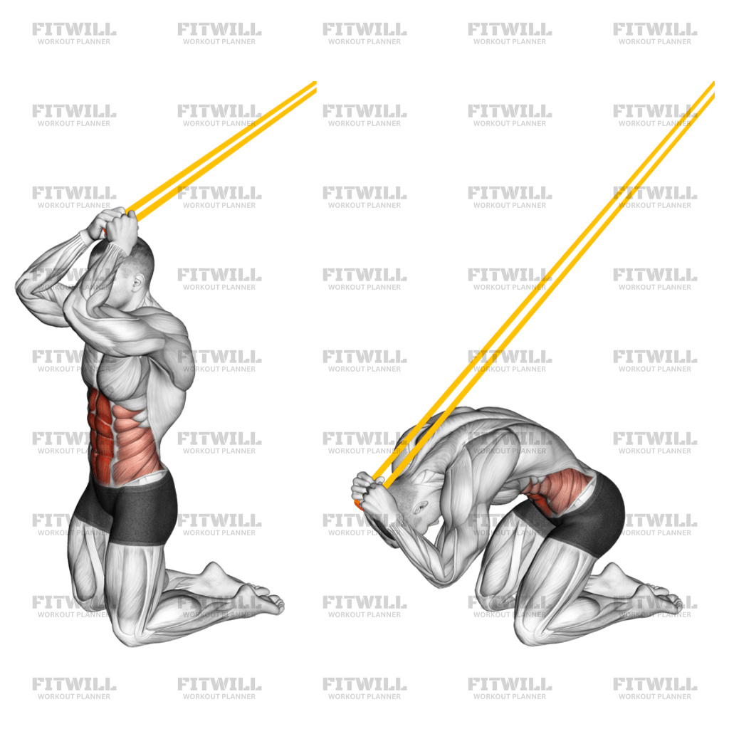 Resistance Band Kneeling Ab Crunch: Exercise Guide, Techniques ...