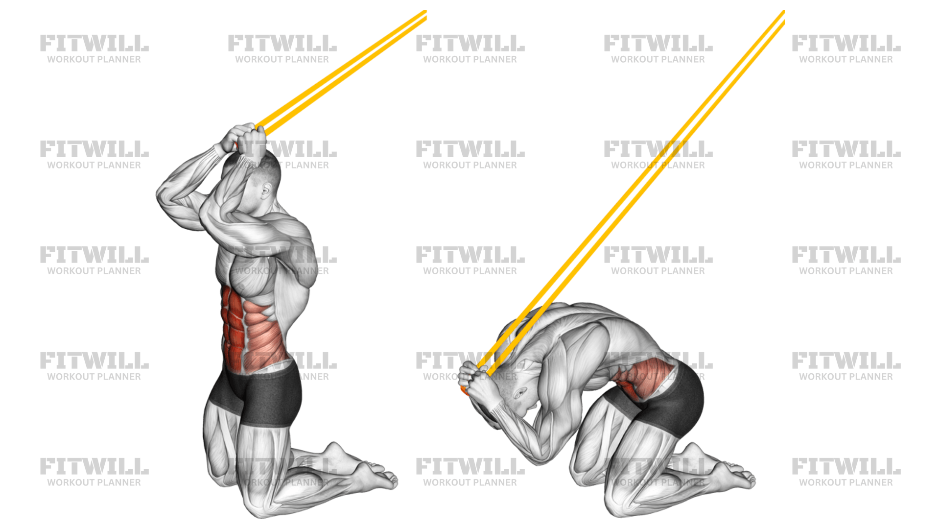 Crunch De Abdominales De Rodillas Con Banda De Resistencia: Guía de ...