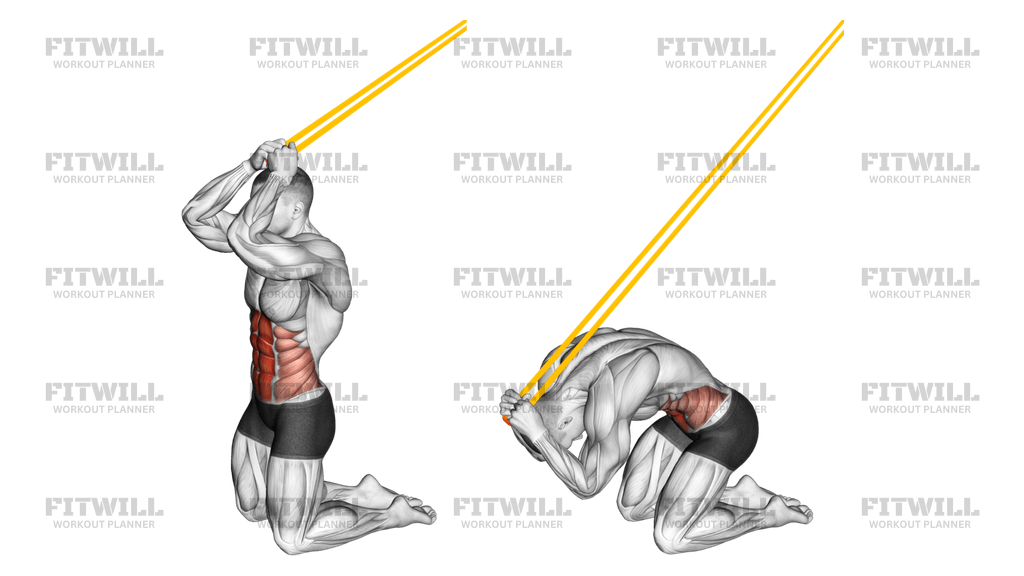 Resistance Band Kneeling Ab Crunch: Exercise Guide, Techniques ...
