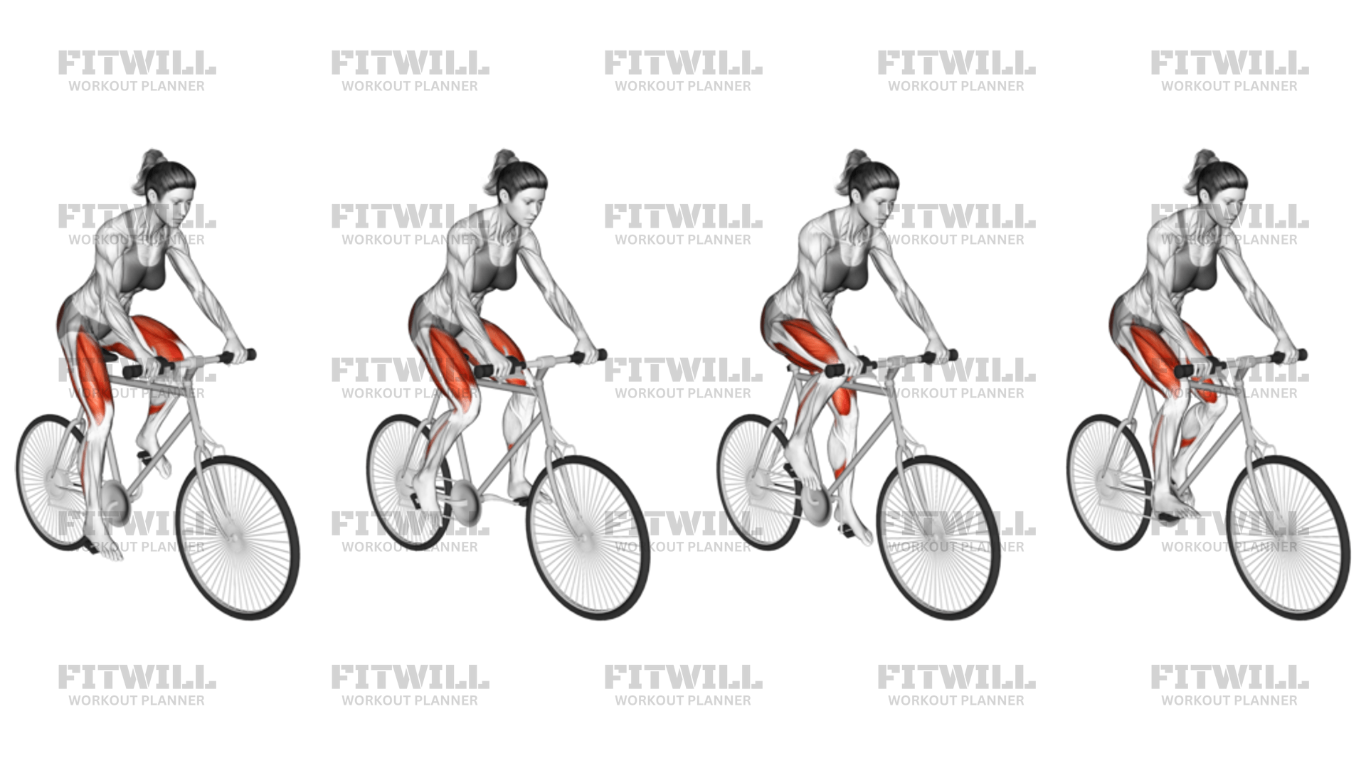 Riding Outdoor Bicycle: Exercise Guide, Video, Techniques, Benefits ...