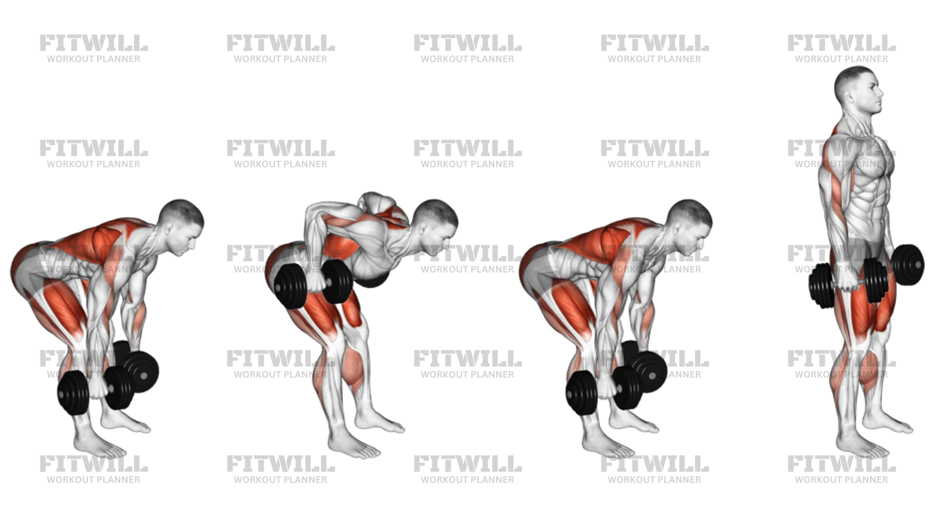 Dumbbell Deadlift Bent Over Row: Exercise Guide, Techniques, Benefits ...