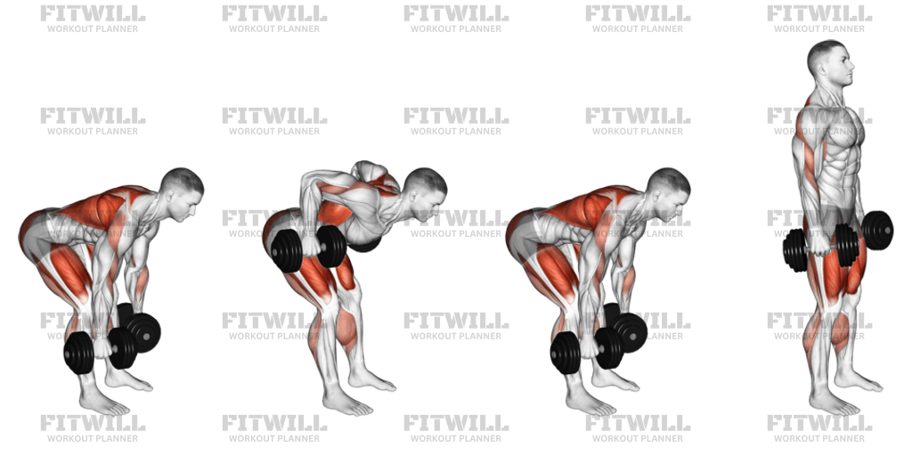 Peso Muerto Con Mancuernas Y Remo Inclinado: Guía de Ejercicios ...