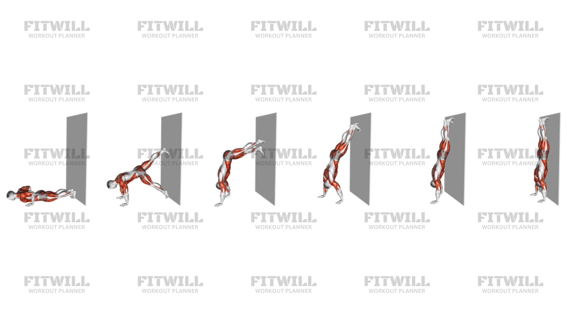 Wall Walks: Exercise Guide, Video, Techniques, Benefits, How to ...