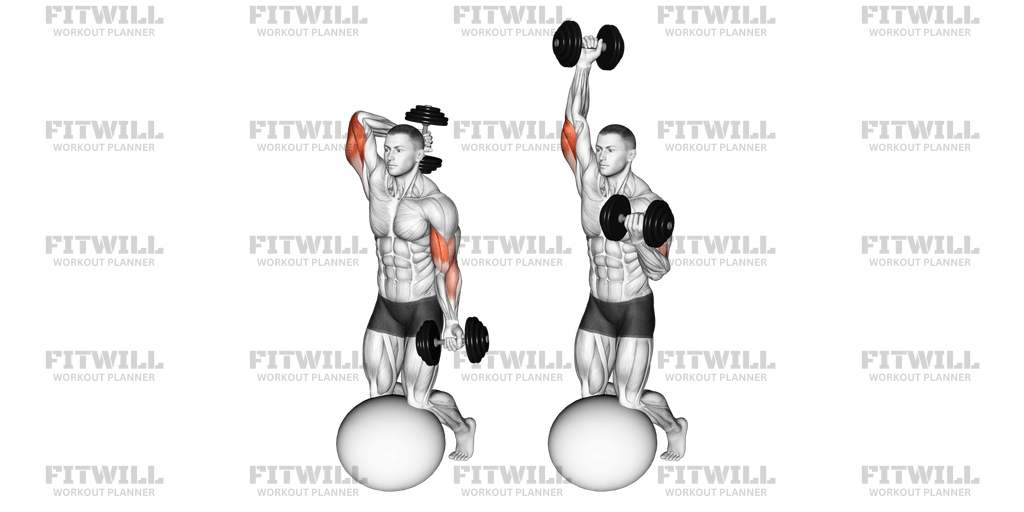 Dumbbell Biceps Curl With Overhead Extension On Stability Ball ...