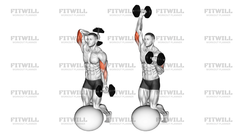 Dumbbell Biceps Curl With Overhead Extension On Stability Ball ...