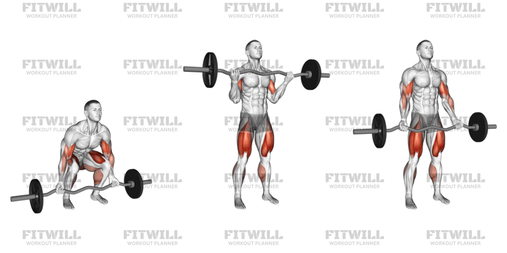 EZ Bar Deadlift With Biceps Curl: Exercise Guide, Video, Techniques ...