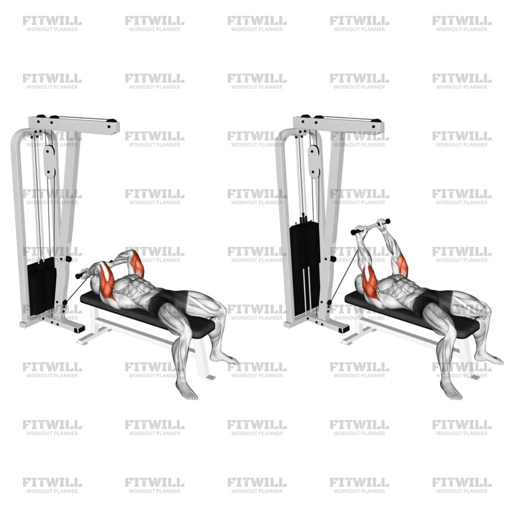 Cable Lying Triceps Extension: Exercise Guide, Video, Techniques ...