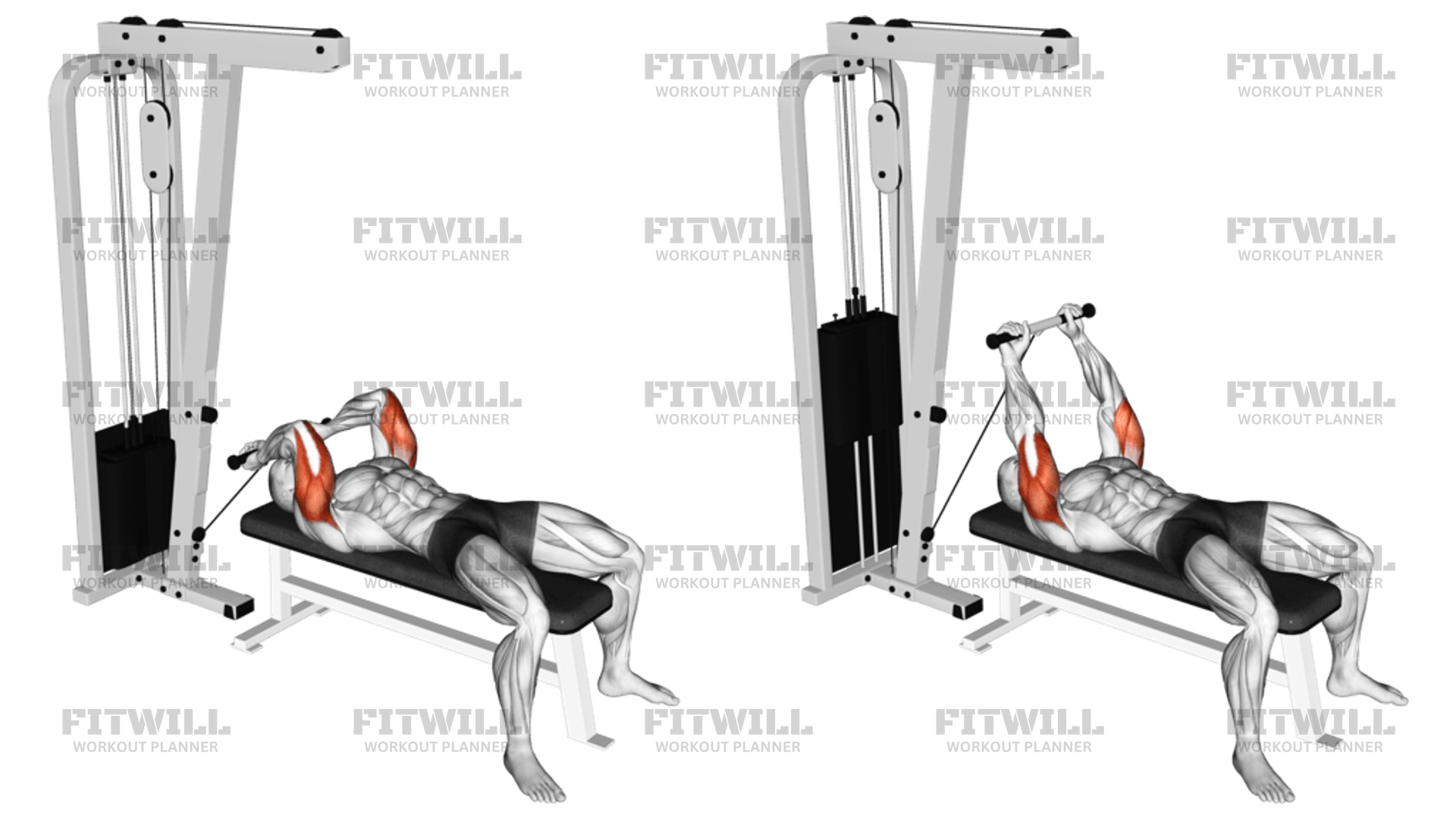 Cable Lying Triceps Extension: Exercise Guide, Video, Techniques ...