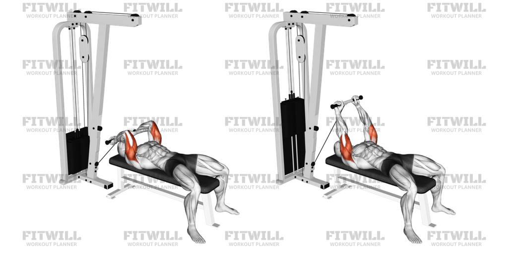 Cable Lying Triceps Extension: Exercise Guide, Video, Techniques ...