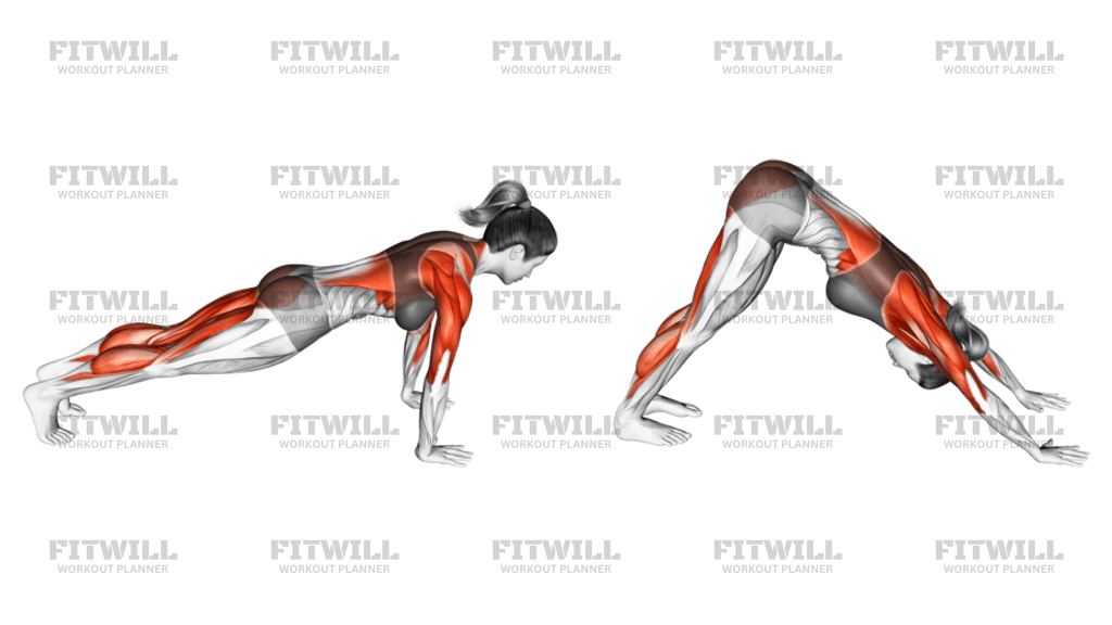 Downward Facing Dog: Exercise Guide, Video, Techniques, Benefits, How ...