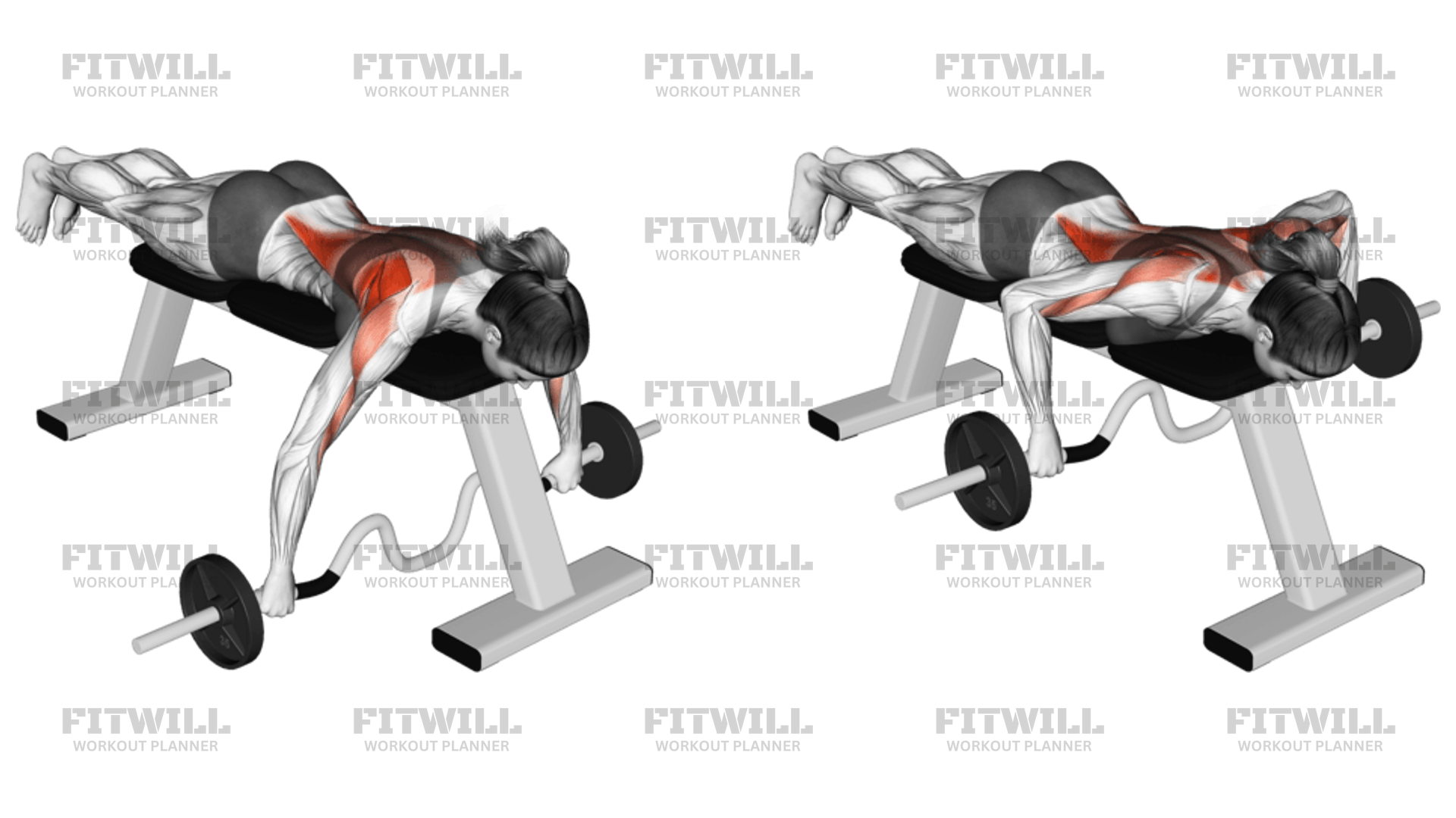 Cambered Bar Lying Row: Exercise Guide, Video, Techniques, Benefits ...