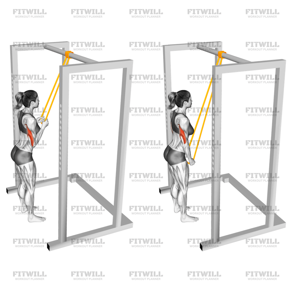 Resistance Band Triceps Pushdown: Exercise Guide, Video, Techniques ... Resistance Band Triceps Pushdown: Exercise Guide, Video, Techniques ...