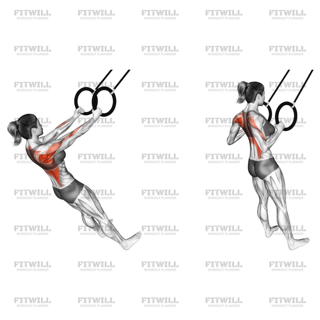 Ring High Row: Exercise Guide, Video, Techniques, Benefits, How to ...