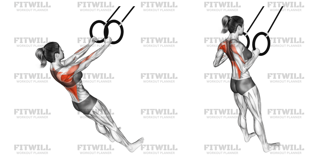 Ring High Row: Exercise Guide, Video, Techniques, Benefits, How to ...