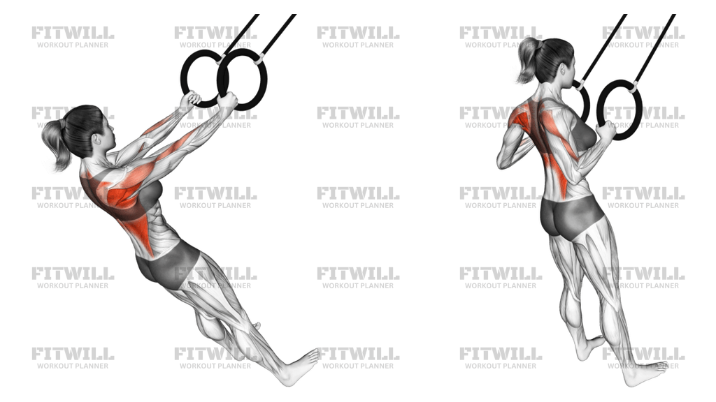 Ring High Row: Exercise Guide, Video, Techniques, Benefits, How to ...