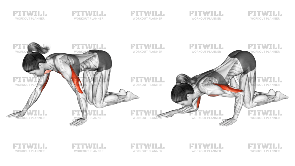 Kneeling Staggered Push-up: Exercise Guide, Video, Techniques, Benefits ...