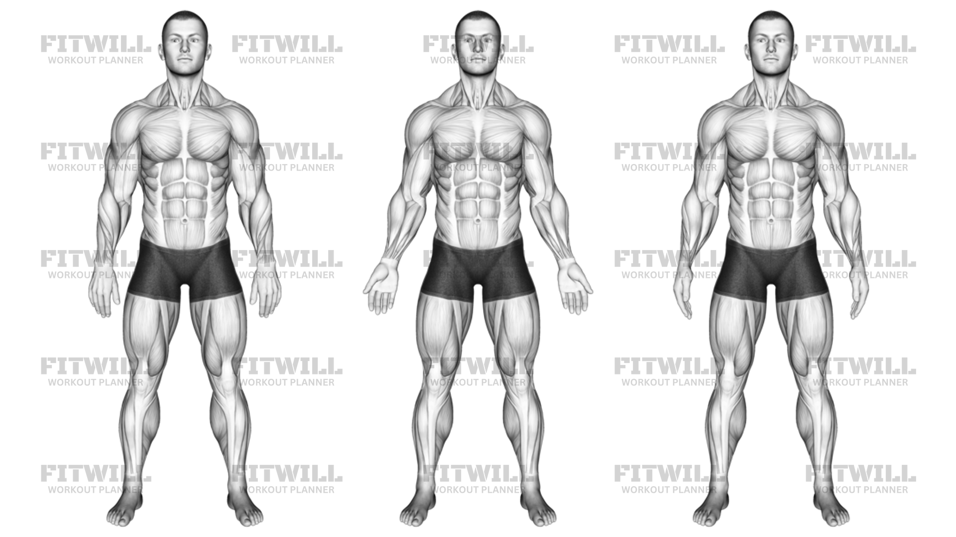 Standing Hands Position (Pronation-Supination-Neutral): Exercise Guide ...